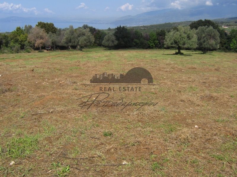 Πώληση, Αγροτεμάχιο, 16021τ.μ. Αργαλαστή, Αγία Τριάδα | 13906889 ...