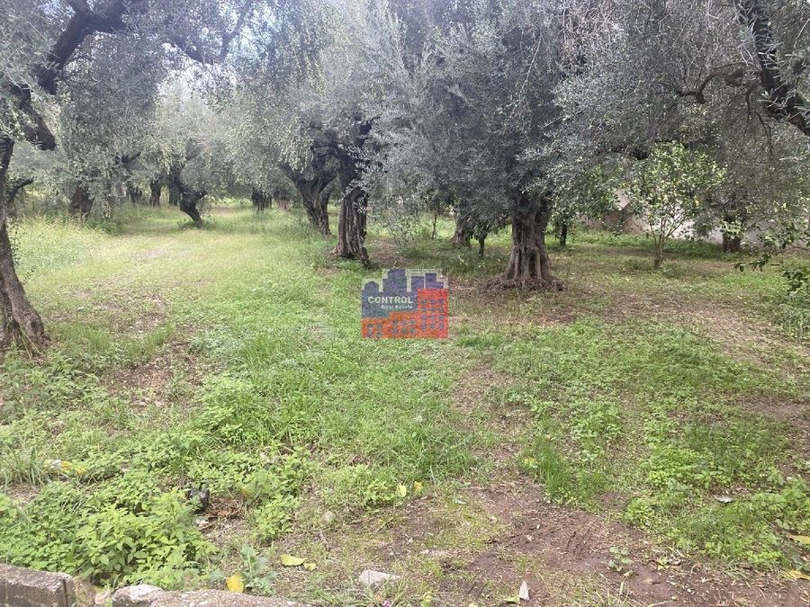Οικόπεδο προς πώληση Κέντρο (Διακοπτό)