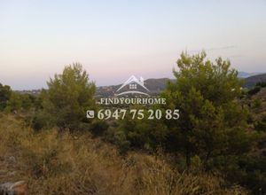 Πώληση, Οικόπεδο, 515τ.μ. Ραφήνα, Καλλιτεχνούπολη | 14145039 | Spitogatos