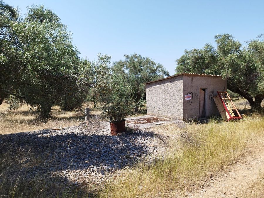 Πώληση, Αγροτεμάχιο, 2000τ.μ. Αυλίδα, Βαθύ | 14163660 | Spitogatos