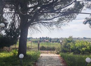 Πώληση, Μονοκατοικία, 70τ.μ. Μεσσαπία, Παραλία Πολιτικών | 14237125 ...