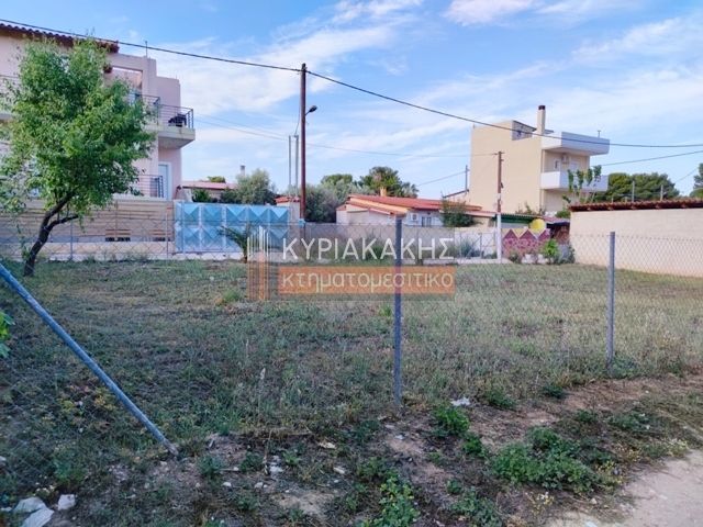 Οικόπεδο προς πώληση Αρτέμιδα (Λούτσα)
