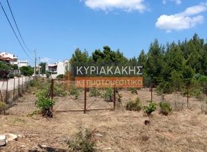 Sale, Plot, 420m² Artemida (Loutsa), Galini | 14239765 | Spitogatos