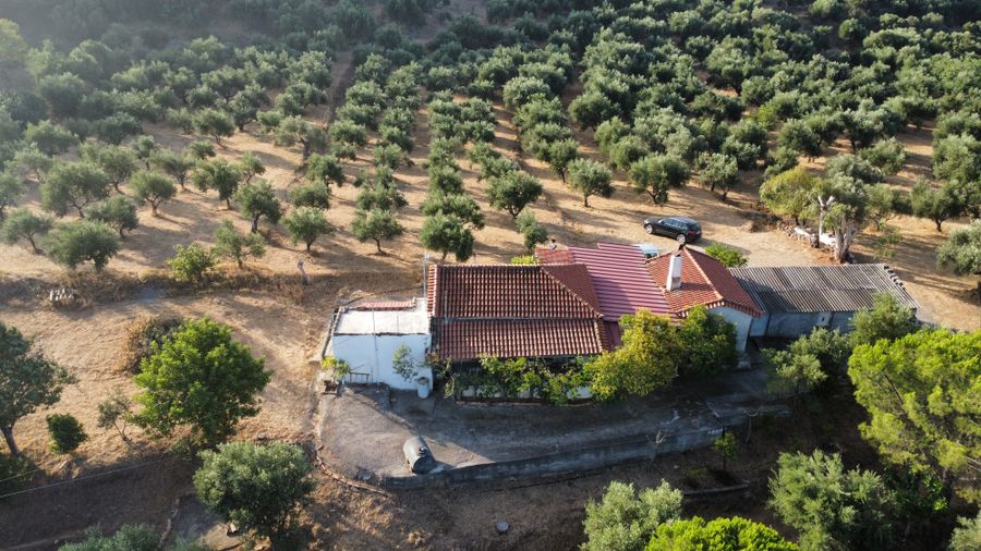 Πώληση, Αγροτεμάχιο, 16000τ.μ. Γύθειο, Χωσιάρι | 14369147 | Spitogatos