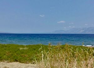 Πώληση, Οικόπεδο, 3315τ.μ. Ανθηδώνος, Ανθηδόνα | 14443316 | Spitogatos