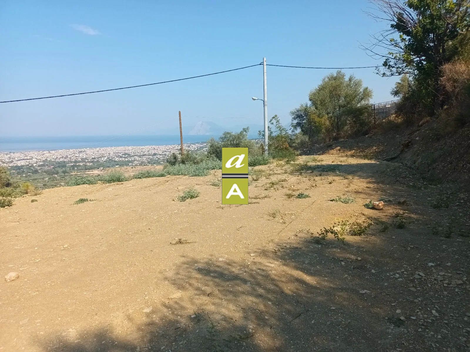 ΚΑΡΥΑ ΕΛΕΚΙΣΤΡΑΣ ΠΩΛΗΣΗ ΟΙΚΟΠΕΔΟΥ