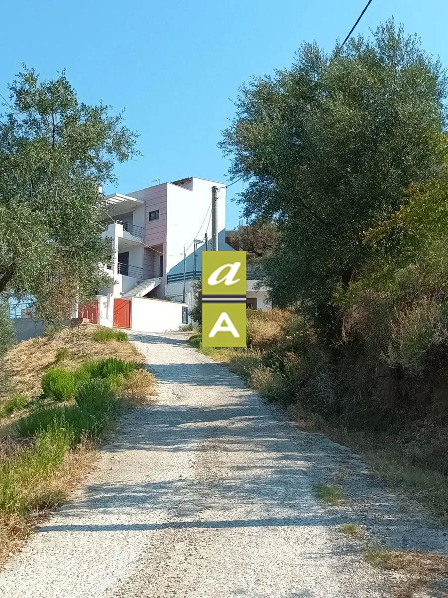 ΚΑΡΥΑ ΕΛΕΚΙΣΤΡΑΣ ΠΩΛΗΣΗ ΟΙΚΟΠΕΔΟΥ