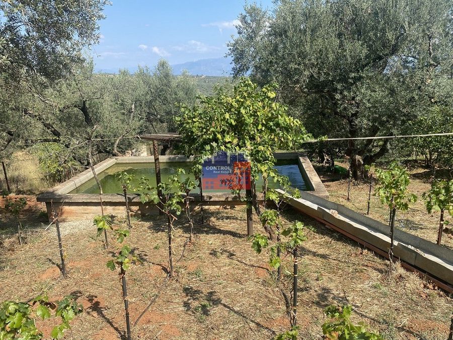 Αγροτεμάχιο προς πώληση Φωνησκαριά (Αίγιο)