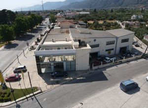 Ενοικίαση, Κτίριο επαγγελματικών χώρων, 1133τ.μ. Αίγιο, Κέντρο ...
