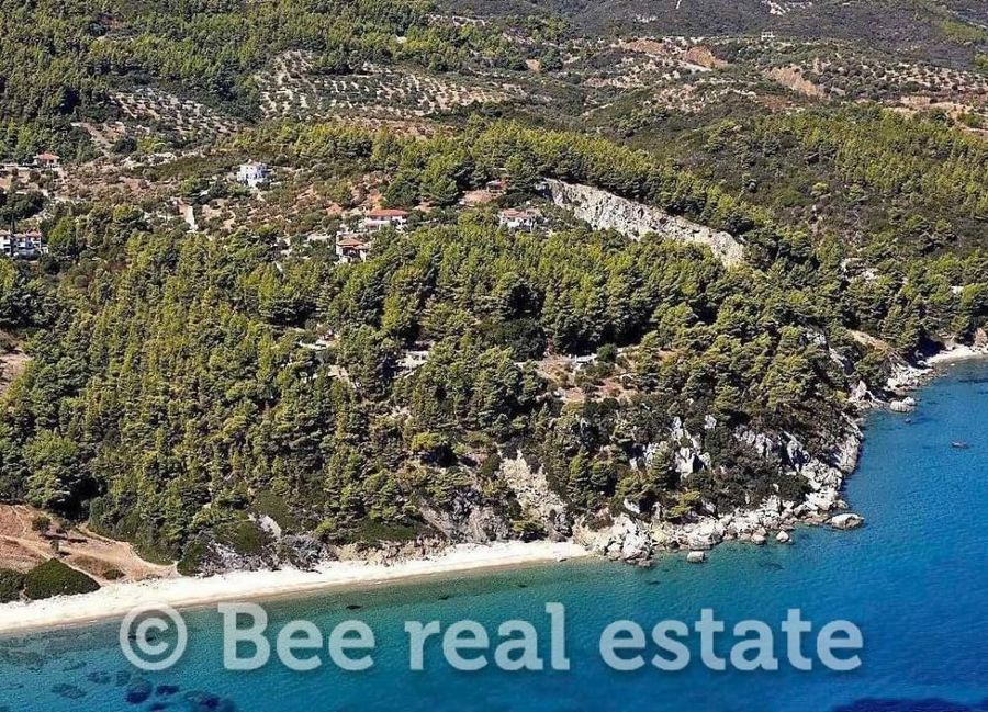 Πώληση, Αγροτεμάχιο, 890τ.μ. Σιθωνία, Άγιος Νικόλαος | 14759605 ...