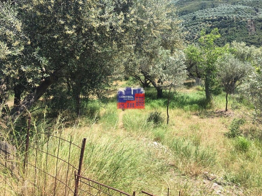 Αγορά Αγροτεμαχίου Κουλούρα - Αγγελία 14869536 | Tospitimou.gr
