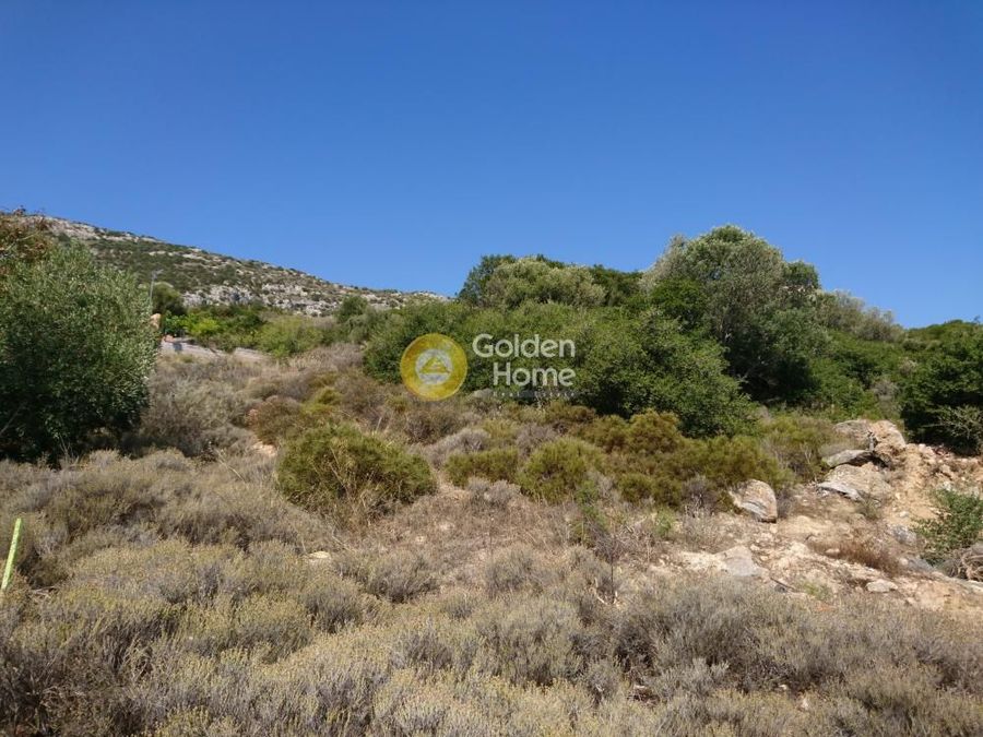 Πώληση, Οικόπεδο, 321τ.μ. Μαρκόπουλο, Πόρτο Ράφτη | 6983390 | Spitogatos