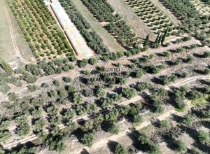 Πώληση, Αγροτεμάχιο, 3000τ.μ. Μιδέα, Μάνεσης | 14781741 | Spitogatos