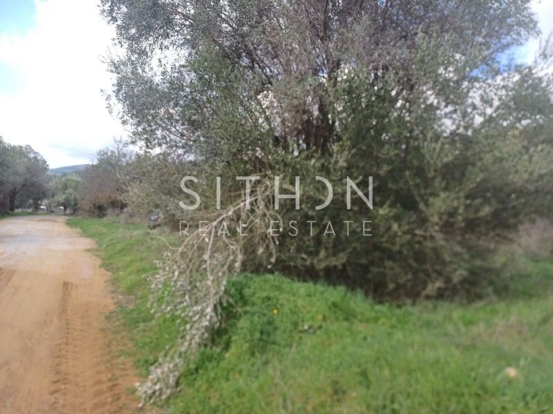 Πώληση, Αγροτεμάχιο, 622τ.μ. Τορώνη, Πόρτο Κουφό | 15368718 | Spitogatos