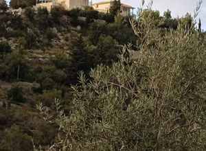 Πώληση, Αγροτεμάχιο, 10000τ.μ. Λευκάδα, Περιοχη χώρας | 15409438 ...