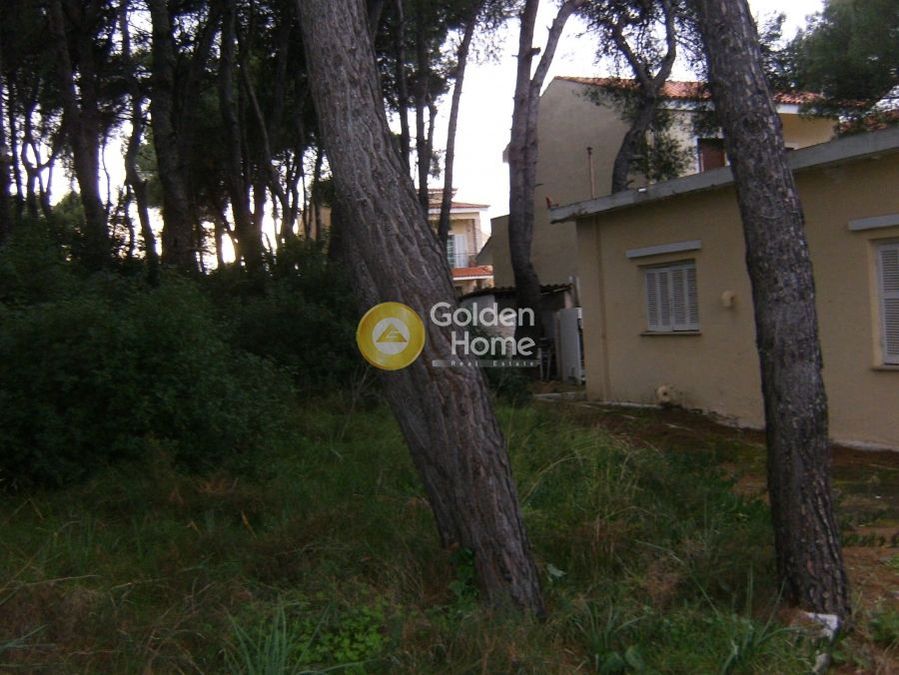 Πώληση, Οικόπεδο, 378τ.μ. Άνοιξη, Φασιδέρη | 9615689 | Spitogatos