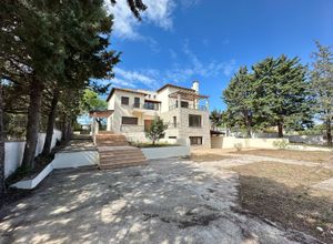 Πώληση, Μονοκατοικία, 385τ.μ. Μίκρα, Τρίλοφο | 2530608 | Spitogatos