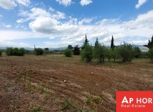 Πώληση, Αγροτεμάχιο, 4000τ.μ. Φθιώτιδα, Υπάτη | 15684199 | Spitogatos