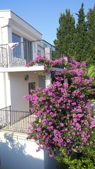 Villa for rent, 218sqm, 1,500€ - Bar | Indomio.me