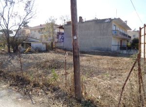 Πώληση, Οικόπεδο, 400τ.μ. Θερμαϊκός, Νέοι Επιβάτες | 15759092 | Spitogatos