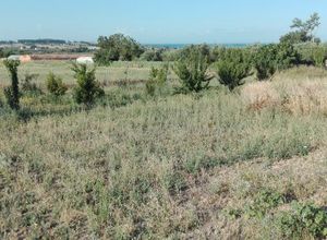 Πώληση, Αγροτεμάχιο, 3700τ.μ. Μηχανιώνα, Αγγελοχώρι | 15790172 | Spitogatos