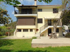 Πώληση, Μονοκατοικία, 300τ.μ. Πορταριά, Άλλη Μεριά | 15856573 | Spitogatos