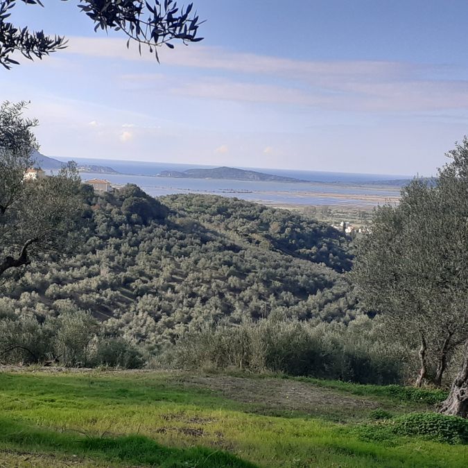 Πώληση, Αγροτεμάχιο, 4200τ.μ. Πύλος, Γιάλοβα | 15918718 | Spitogatos