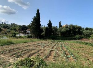 Πώληση, Αγροτεμάχιο, 8146τ.μ. Κέρκυρα, Άγιος Γεώργιος | 15945833 ...