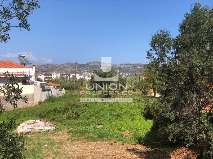 Πώληση, Οικόπεδο, 1400τ.μ. Μαρκόπουλο, Πόρτο Ράφτη | 15971477 | Spitogatos