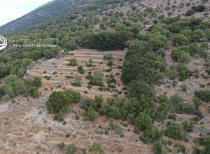 Sale, Parcel, 7308m² Kefalonia, Pylaros | 16238034 | Spitogatos