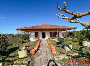 Sale, Detached house, 116m² Lechaina, Agios Panteleimonas | 16254486 ...