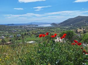 andros real estate house for sale andros buy property on andros island ...