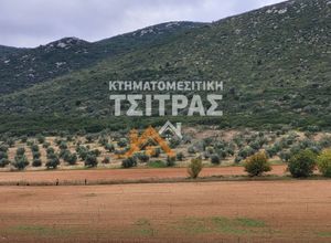 Πώληση, Αγροτεμάχιο, 72000τ.μ. Θήβα, Ελαιώνας | 16495157 | Spitogatos