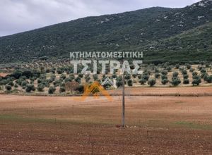Πώληση, Αγροτεμάχιο, 72000τ.μ. Θήβα, Ελαιώνας | 16495157 | Spitogatos