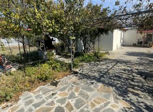 Sale, Detached house, 74m² Kallikrateia, Nea Silata | 16558789 | Spitogatos