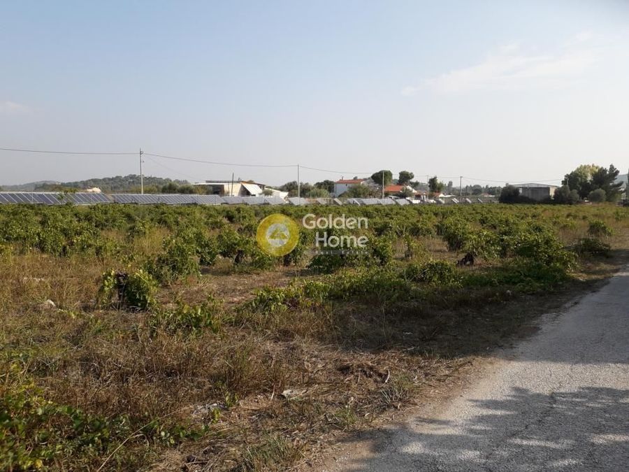 Πώληση, Αγροτεμάχιο, 5900τ.μ. Παιανία, Αργιθέα | 16567165 | Spitogatos