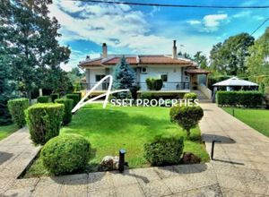 Sale, Detached house, 285m² Koroneia, Gerakarou | 16433100 | Spitogatos