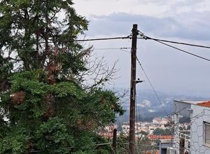 Sale, Detached house, 200m² Panorama, Synoikismos Nomou 751 | 17046903 ...