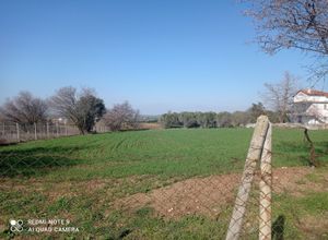 Πώληση, Αγροτεμάχιο, 2500τ.μ. Επανομή, Κέντρο | 17079218 | Spitogatos
