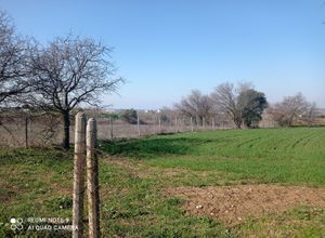 Πώληση, Αγροτεμάχιο, 2500τ.μ. Επανομή, Κέντρο | 17079218 | Spitogatos