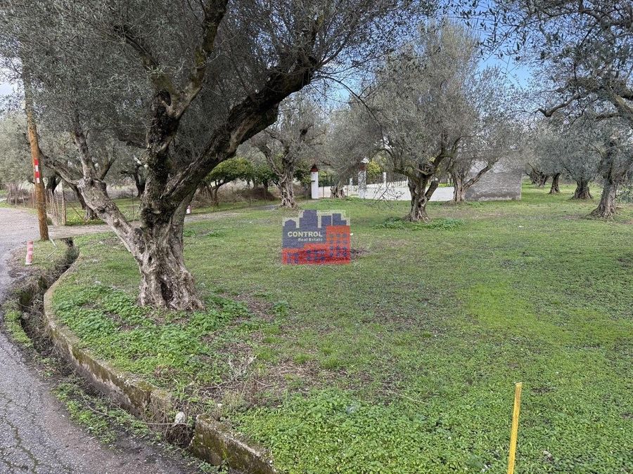 Πώληση, Αγροτεμάχιο, 300τ.μ. Διακοπτό, Τερψιθέα | 17191990 | Spitogatos