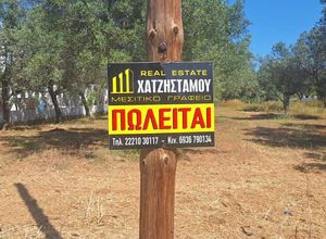 Πώληση, Αγροτεμάχιο, 540τ.μ. Αυλίδα, Παραλία Αυλίδας | 17537349 ...