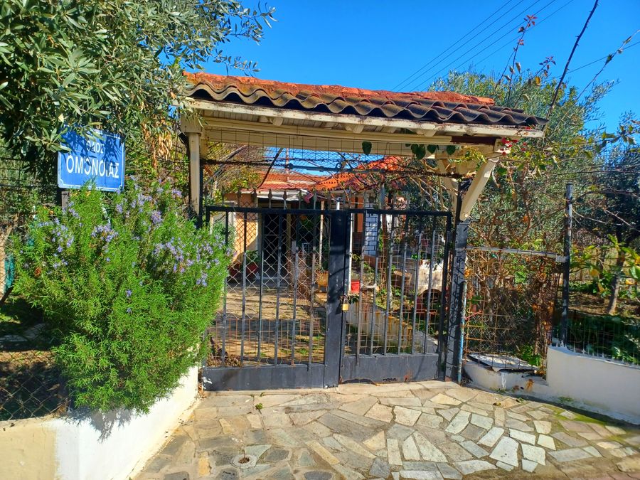 Πώληση, Μονοκατοικία, 50τ.μ. Πολύγυρος, Σκάλα Γερακινής | 17597949 ...