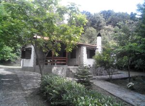 Sale, Detached house, 53m² Inachos, Stathas | 17725166 | Spitogatos