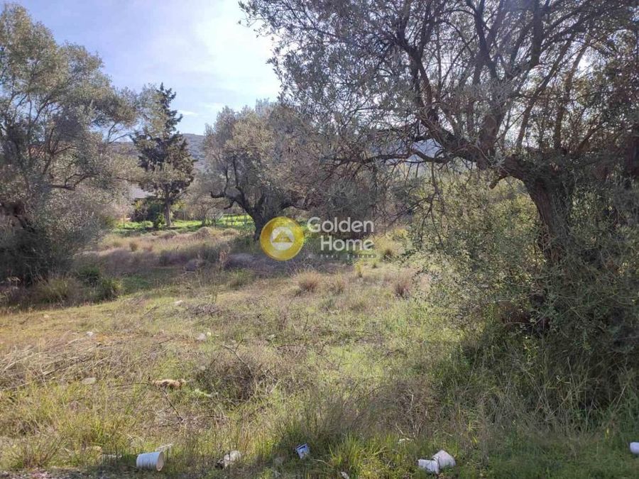 Πώληση, Αγροτεμάχιο, 555τ.μ. Παιανία, Σπαρόζα | 17742738 | Spitogatos