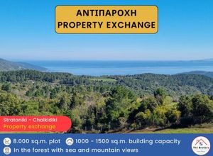 Πώληση, Αγροτεμάχιο, 8000τ.μ. Σταγείρων - Ακάνθου, Στρατονίκη ...