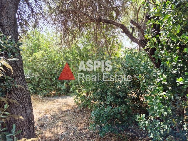 Sale, Detached house, 66m² Artemida (Loutsa), Vravrona | 17787328 ...