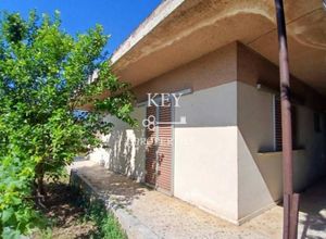 Sale, Detached house, 118m² Tenea, Chiliomodi | 17865857 | Spitogatos