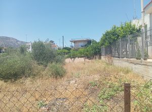 Saronikos Real Estate