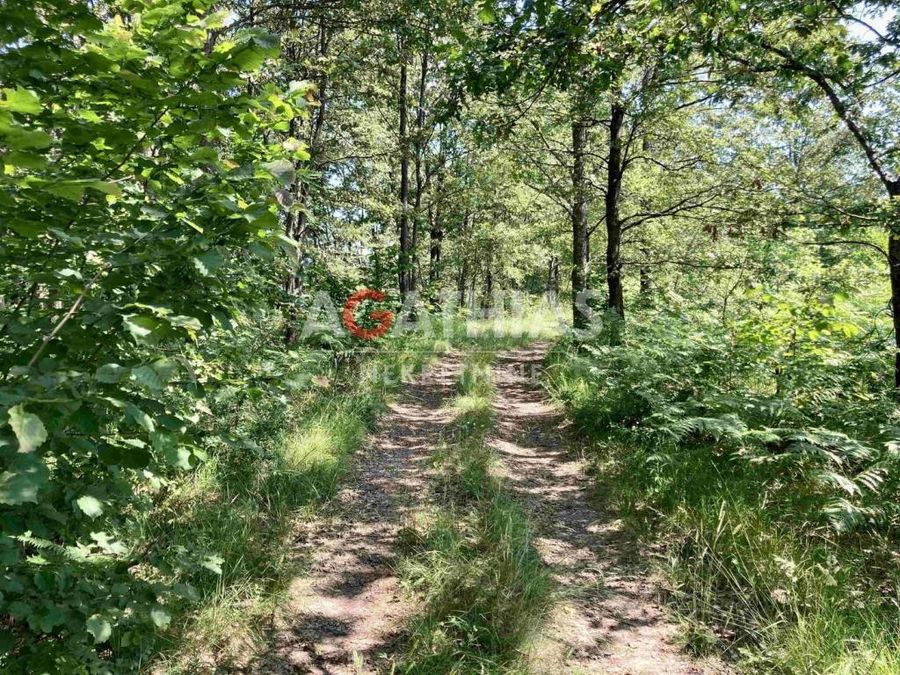 Baugrundstück 16940m² zum verkauf, Karlovac, Tounj - Angebot 17983141 ...
